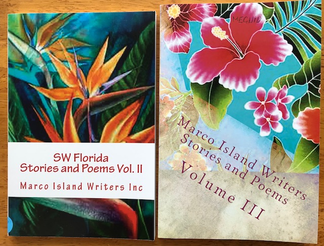 A Treasure Trove of Florida Stories - Michael M. Meguid